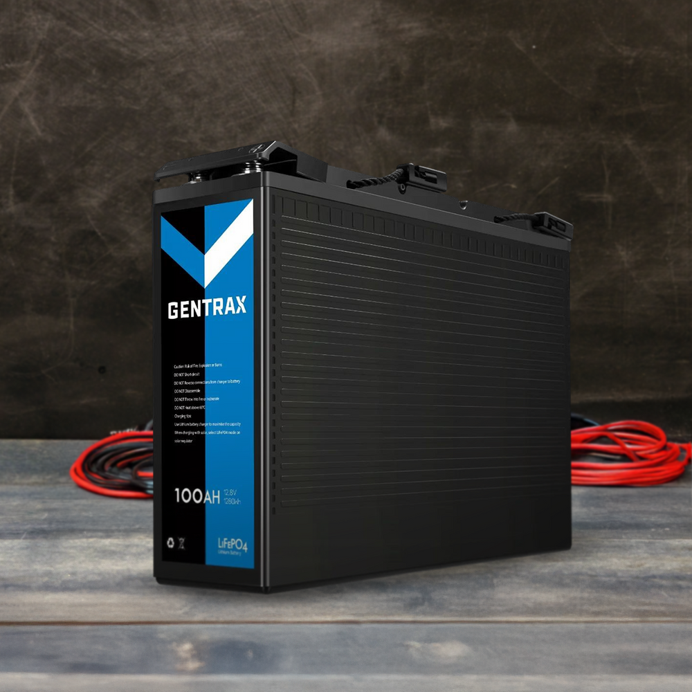 How to Revive Your Deeply Discharged Lithium Battery | Gentrax